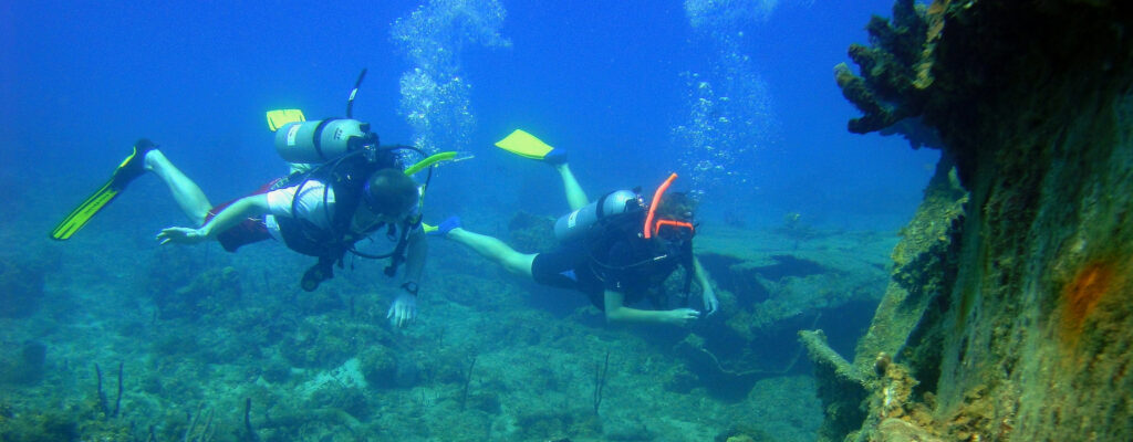 Grenada's Top Dive Sites & Guided Underwater Tours for Scuba Diving