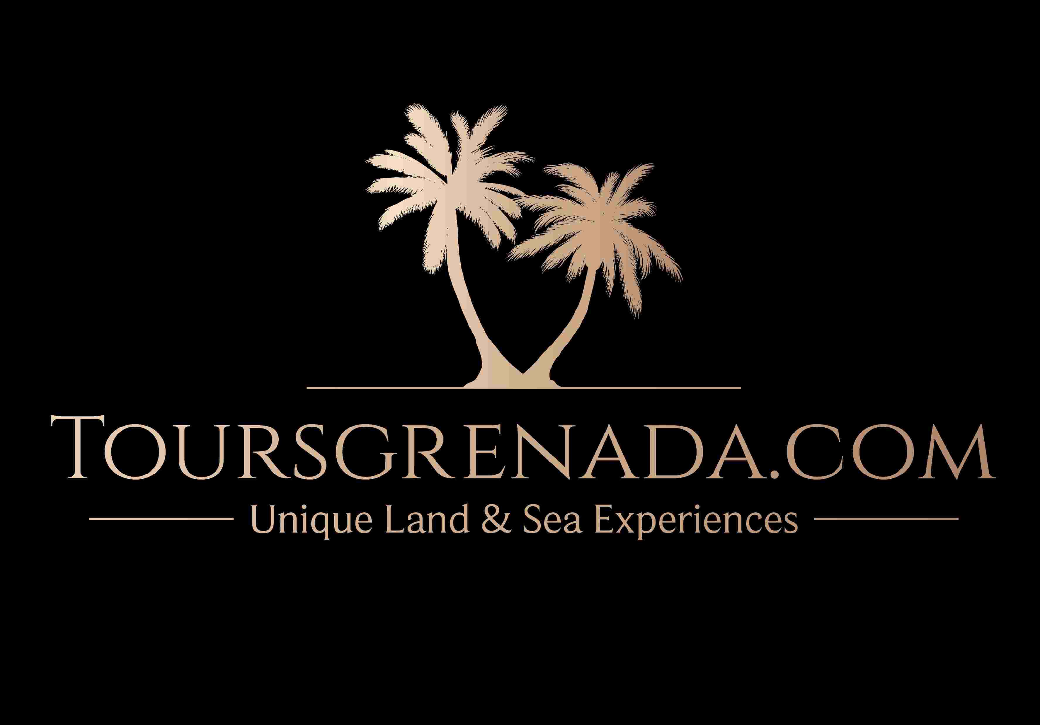 Toyota HIACE – 18 seater BUS Tours – Tours Grenada