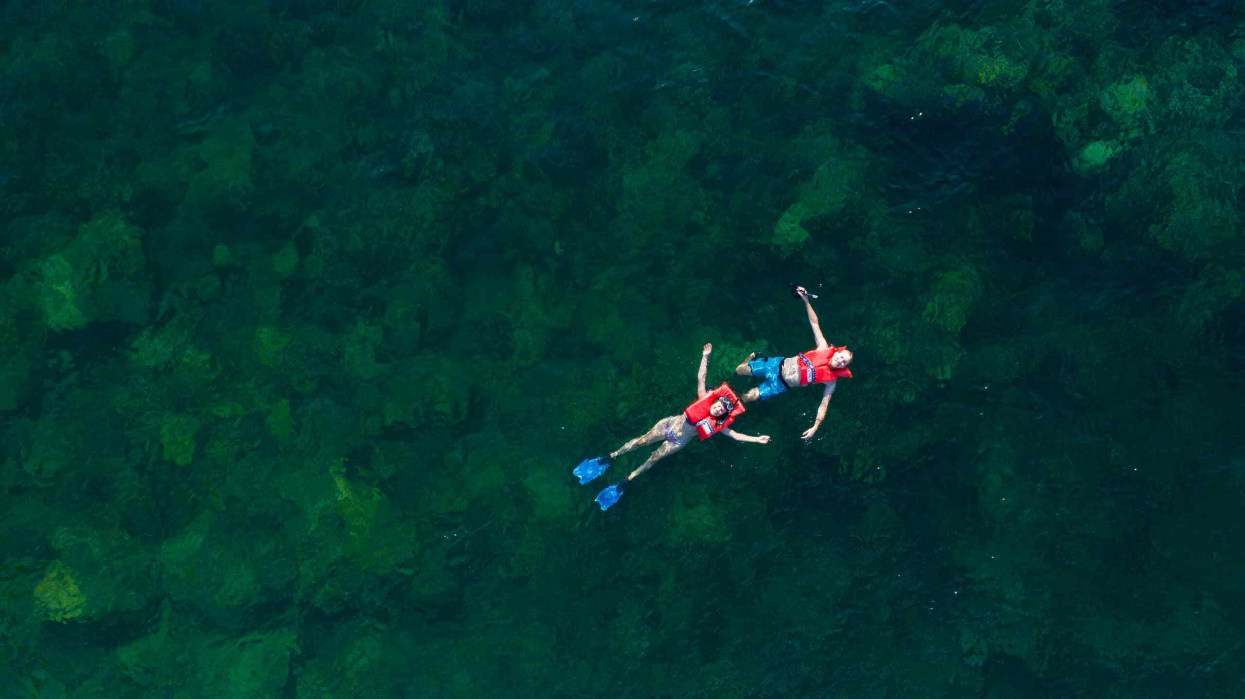 Private 3-hour Double Dip snorkel cruise to Underwater Sculptures Tours ...