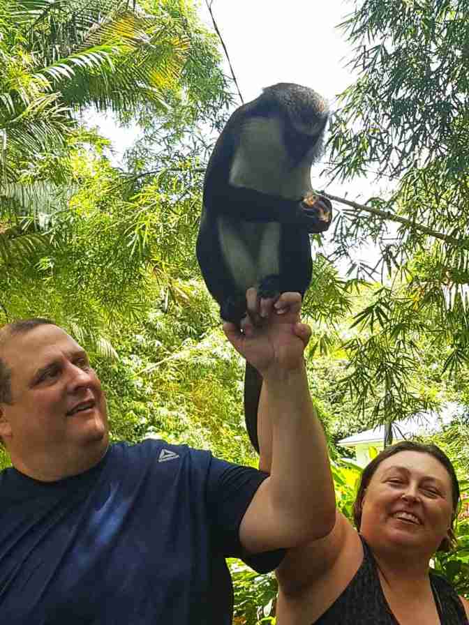 Shared Island Tour with LUNCH & ADMISSIONS Tours – Tours Grenada