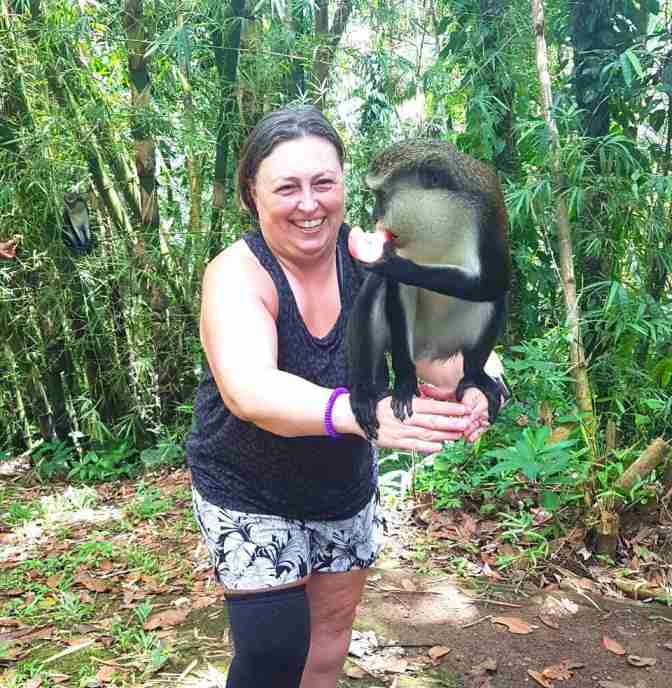 Shared Island Tour with LUNCH & ADMISSIONS Tours – Tours Grenada