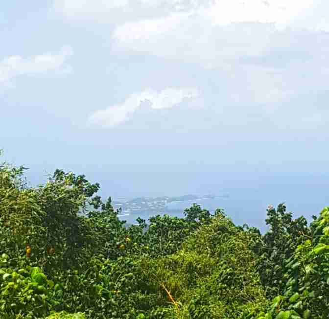 Shared Island Tour with LUNCH & ADMISSIONS Tours – Tours Grenada