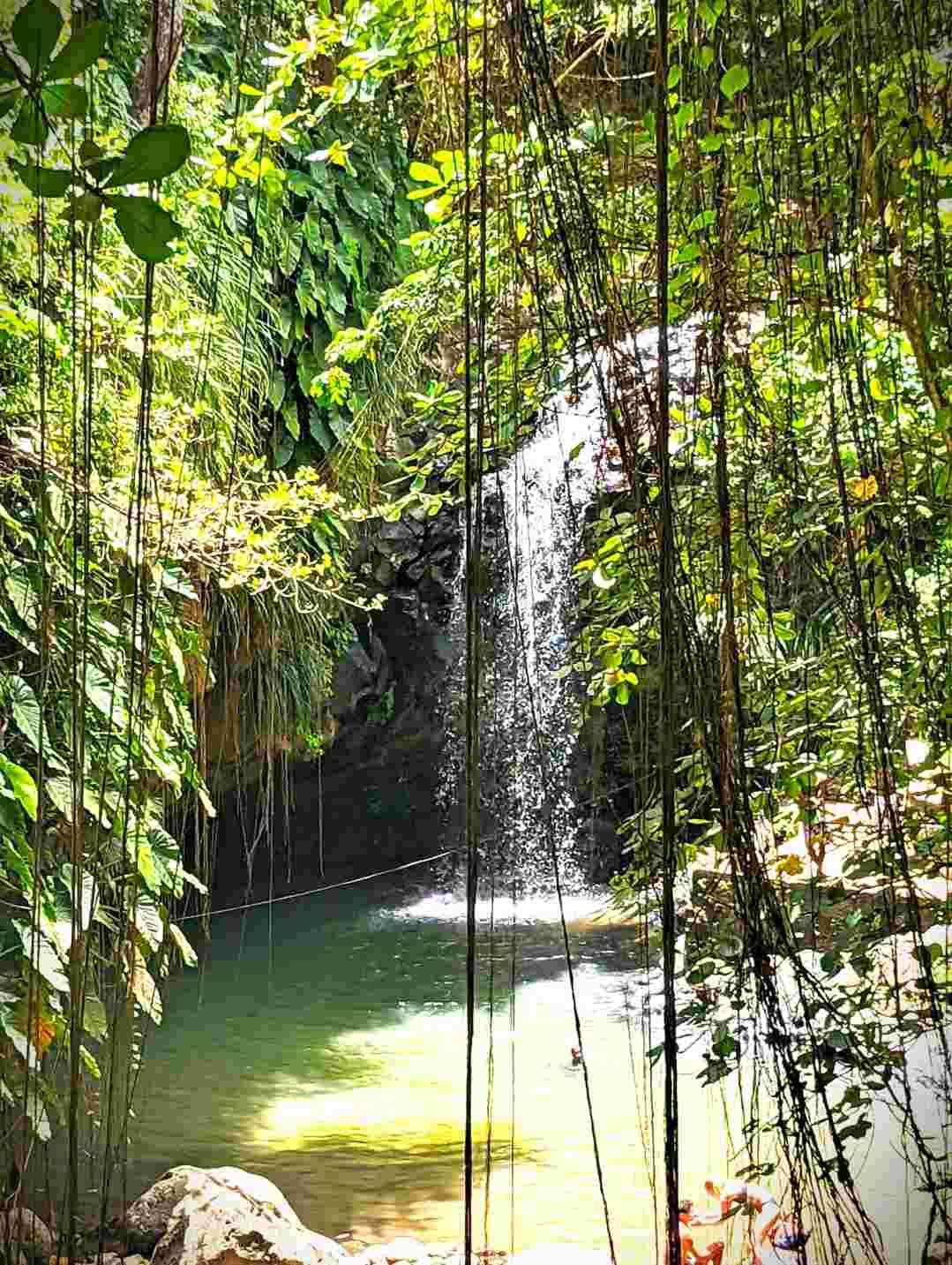 Shared Island Tour with LUNCH & ADMISSIONS Tours – Tours Grenada