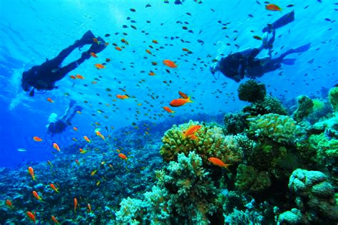 Private Sail & Dive Cruise in Grenada | Exclusive Luxury Experience
