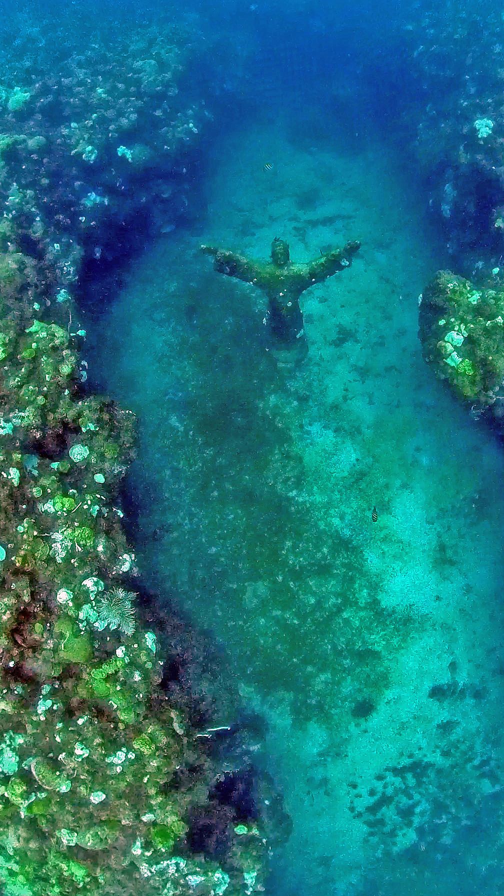 3-hour Double Dip snorkel cruise to Underwater Sculptures Tours – Tours ...