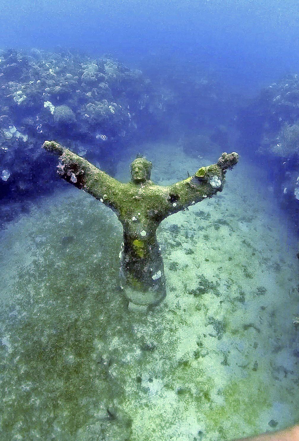 3-hour Double Dip snorkel cruise to Underwater Sculptures Tours – Tours ...