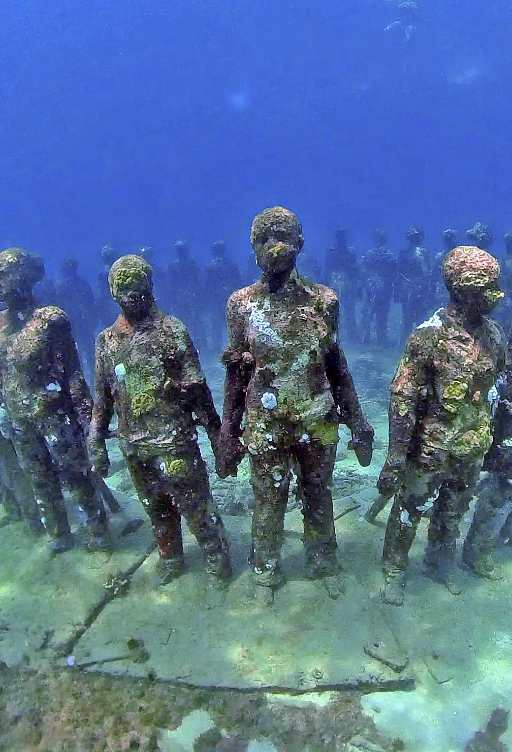 3-hour Double Dip snorkel cruise to Underwater Sculptures Tours – Tours ...